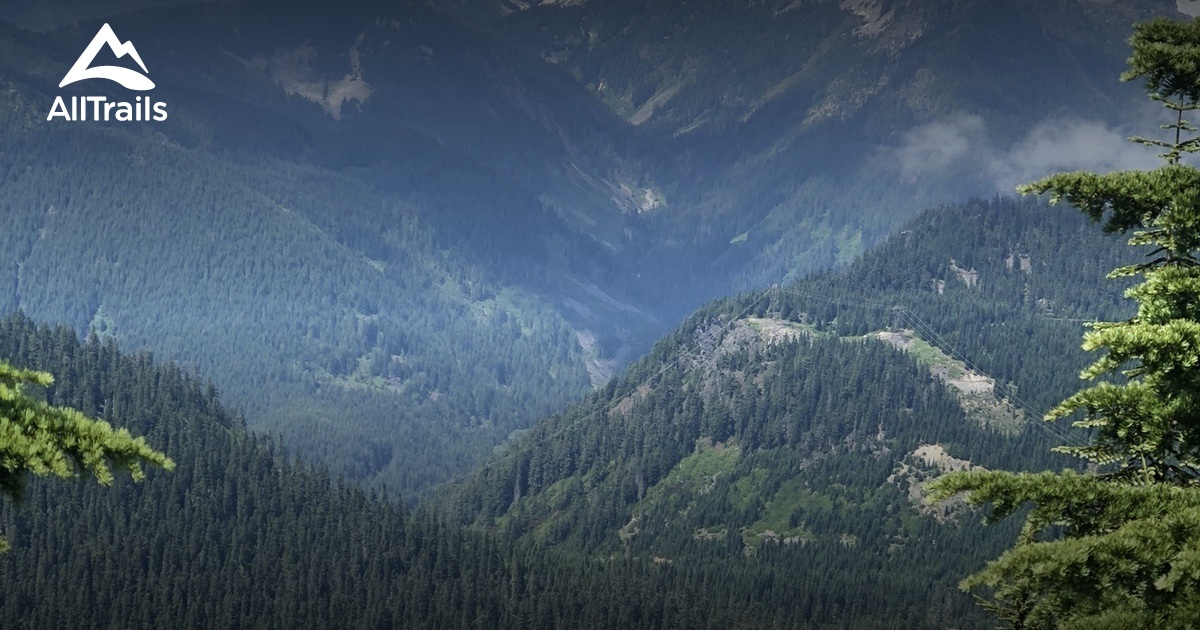 Mount Catherine - hikes and trails to get you there | AllTrails