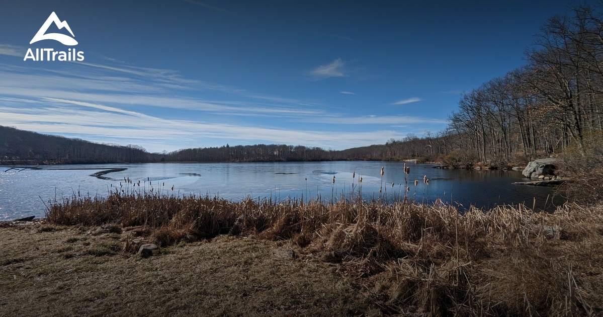 Hogencamp Mountain - hikes and trails to get you there | AllTrails