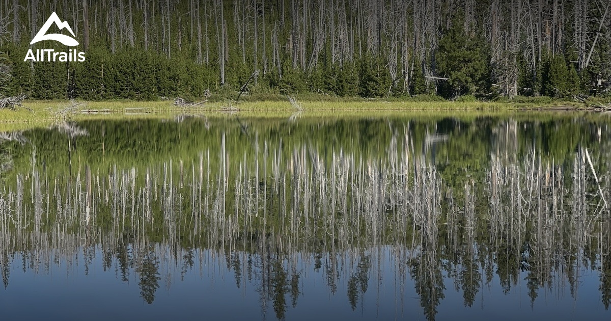 Rockpile Mountain - hikes and trails to get you there | AllTrails