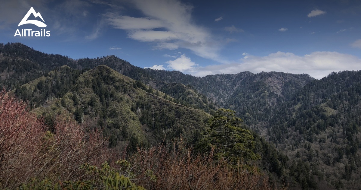 Mount le Conte - High Top - hikes and trails to get you there | AllTrails