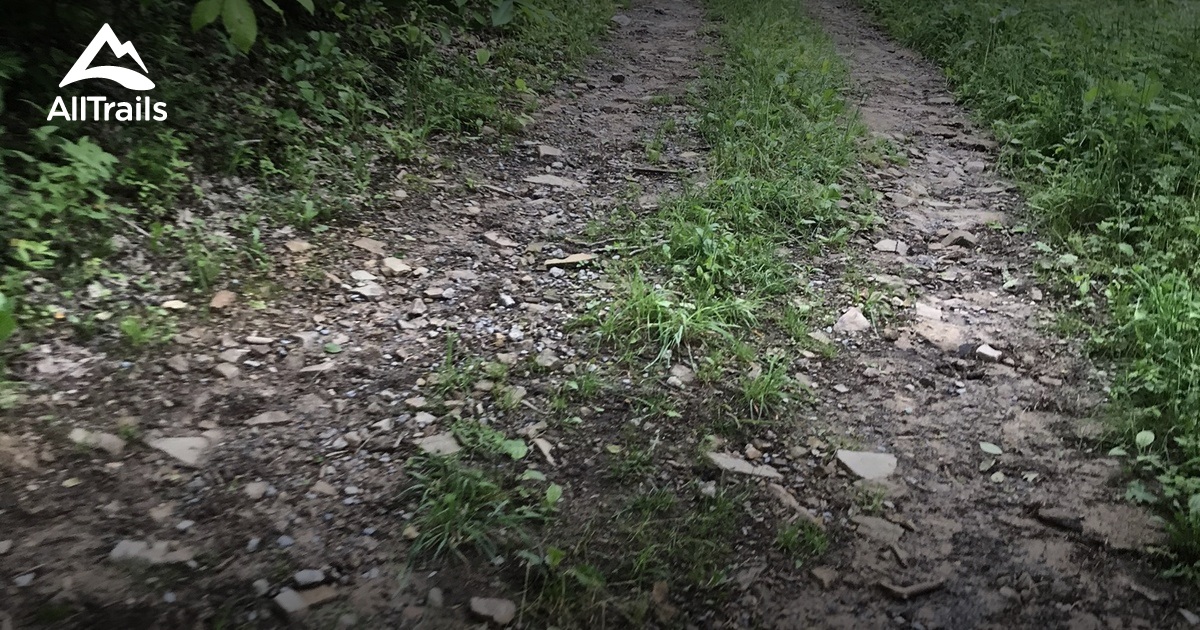 Holston High Knob - hikes and trails to get you there | AllTrails