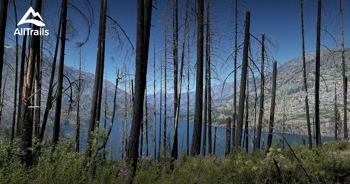 Domke Mountain - hikes and trails to get you there | AllTrails