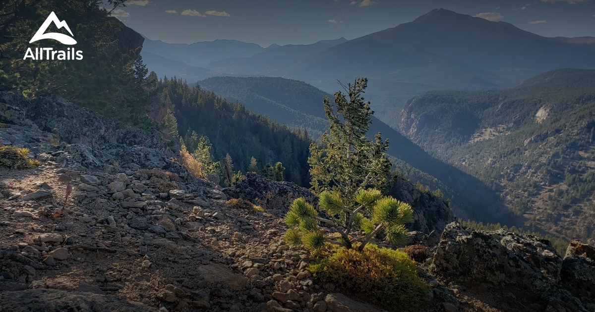Best trails near Big John Mountain | AllTrails