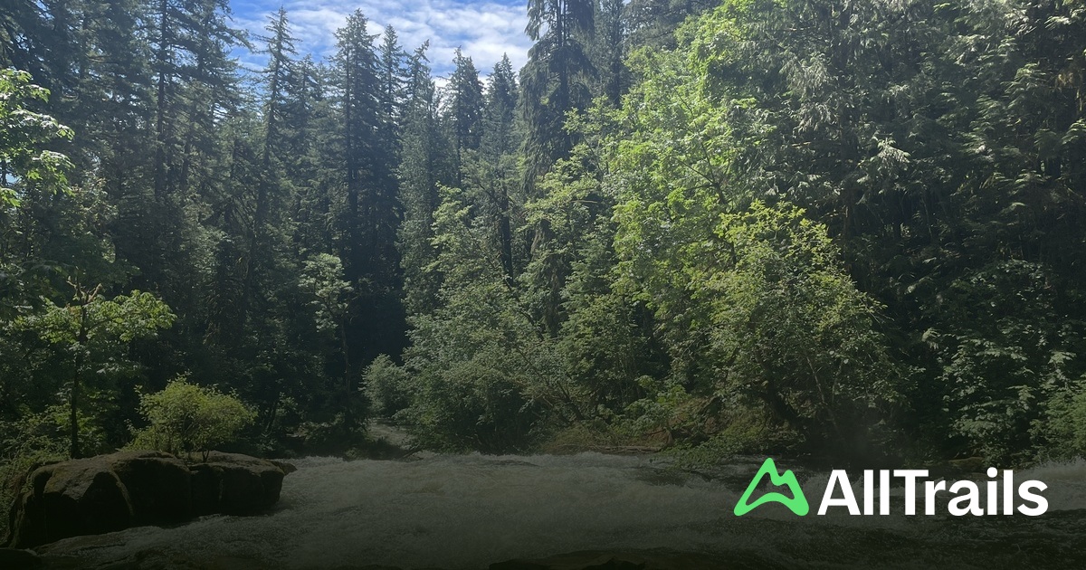 Lacamas Lake Dam - hikes and trails to get you there | AllTrails