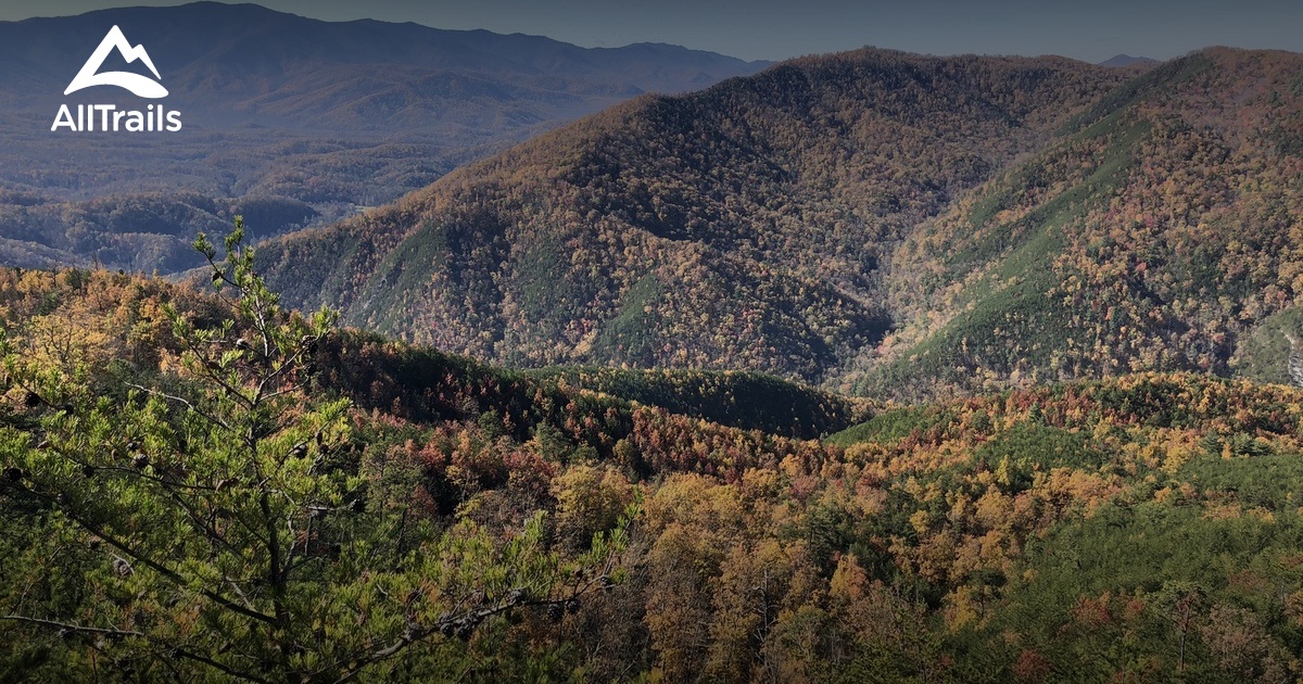 Hall Mountain - hikes and trails to get you there | AllTrails