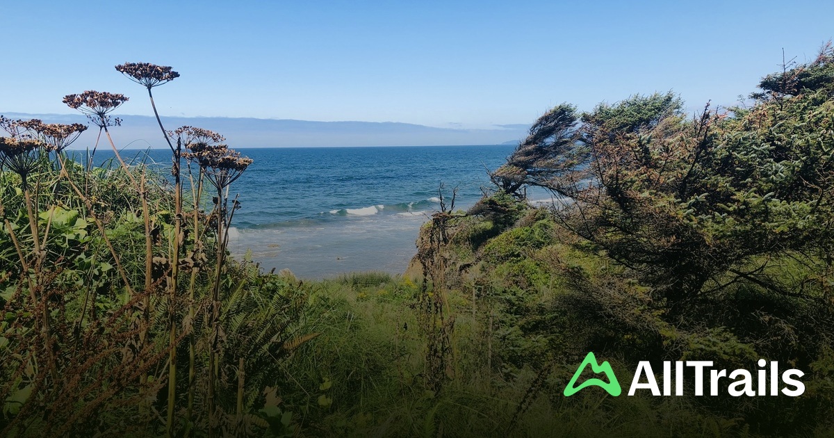 Cape Meares Beach - hikes and trails to get you there | AllTrails