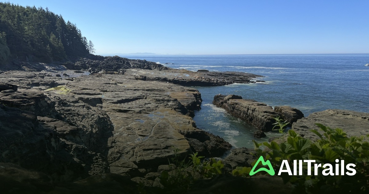 Pachena Bay - hikes and trails to get you there | AllTrails