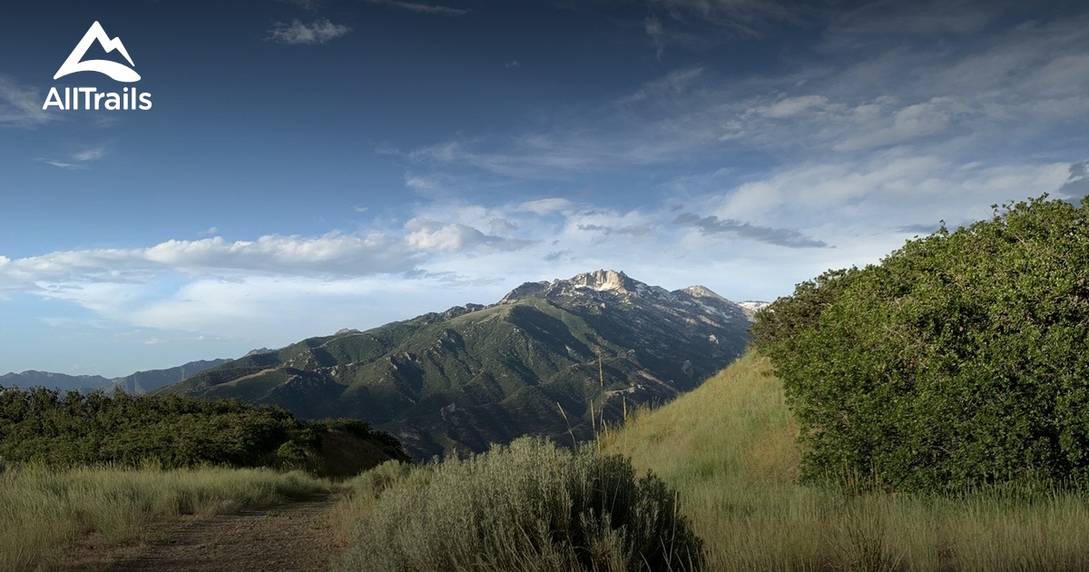 View Benchmark - hikes and trails to get you there | AllTrails