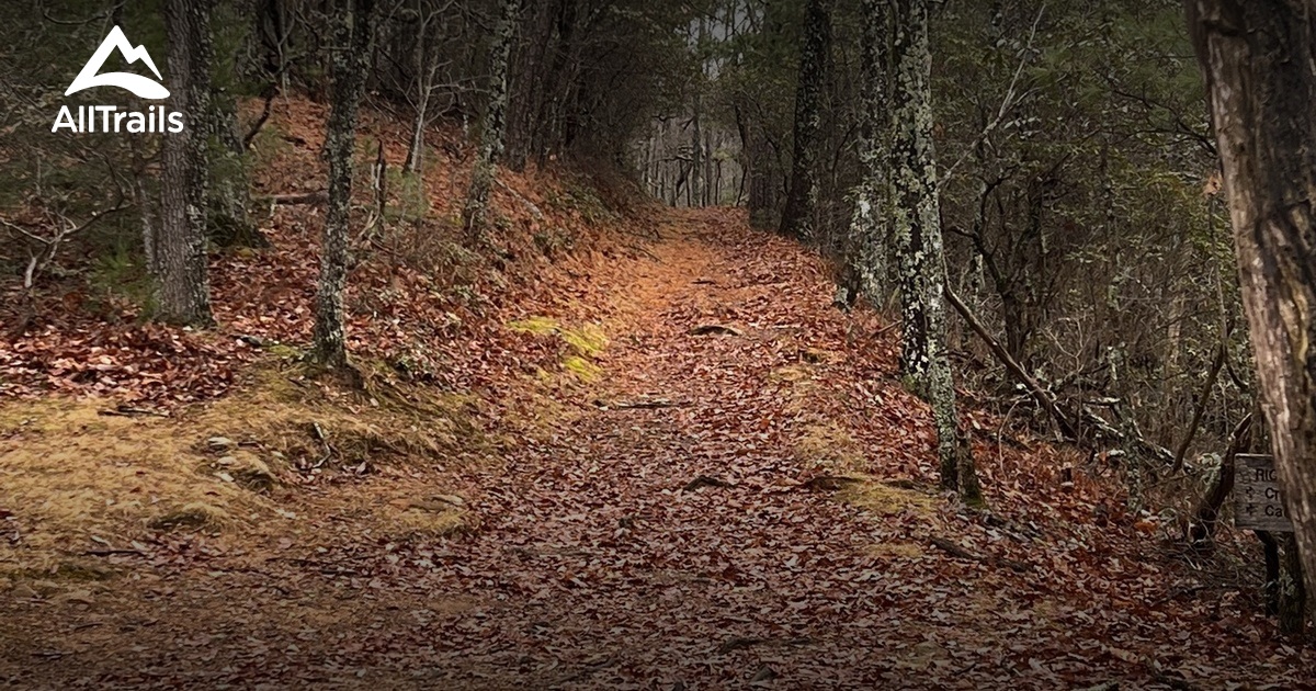 Rich Mountain - hikes and trails to get you there | AllTrails