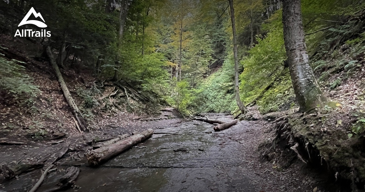 Eternal Flame Falls - hikes and trails to get you there | AllTrails