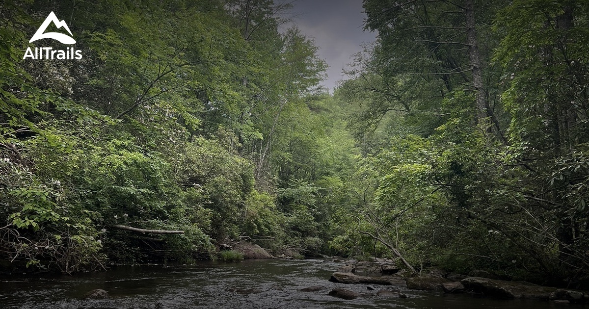 Bald River Falls - hikes and trails to get you there | AllTrails