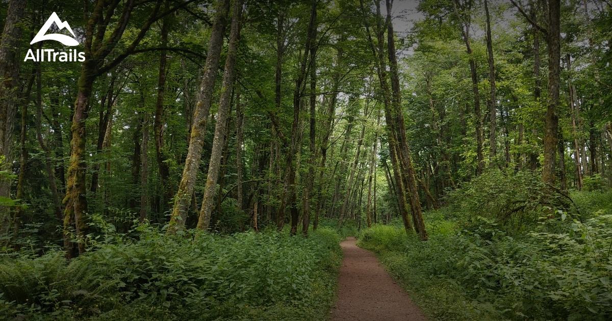Cougar Mountain (Anti-Aircraft Peak) - hikes and trails to get you ...