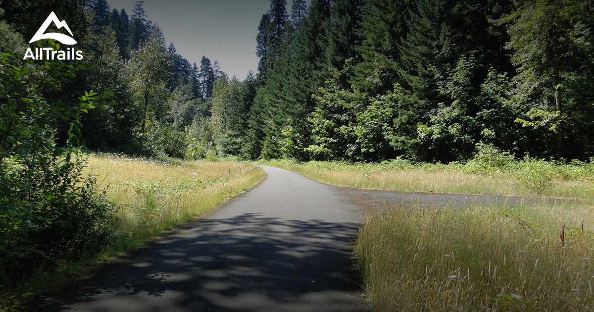 Lower Ruckel Creek Falls - hikes and trails to get you there | AllTrails