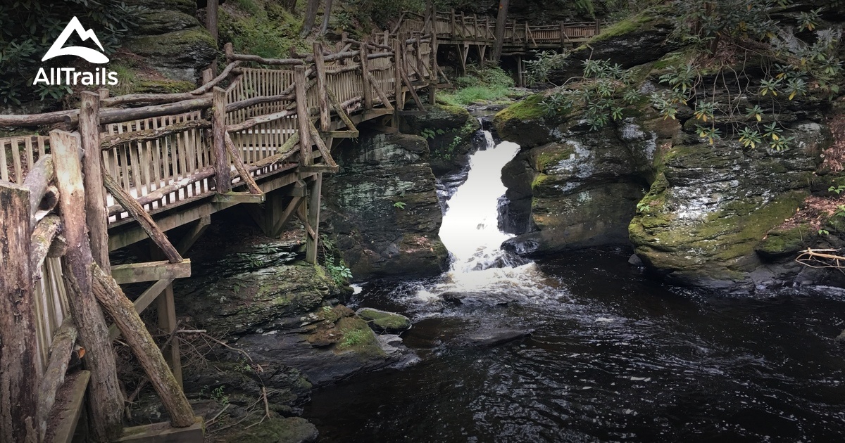 Pennell Falls - hikes and trails to get you there | AllTrails