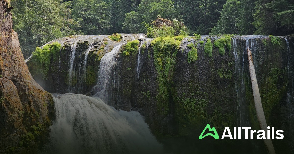 Lewis River - hikes and trails to get you there | AllTrails