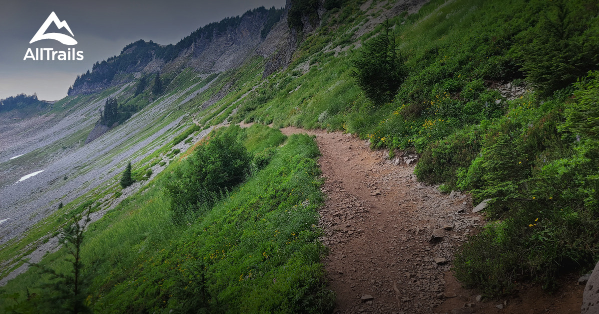 Coleman Pinnacle - hikes and trails to get you there | AllTrails