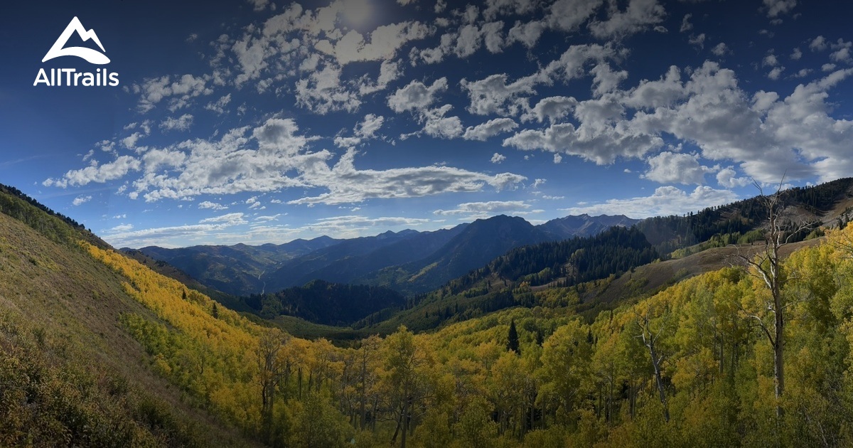 Moss Ledge Waterfall - hikes and trails to get you there | AllTrails