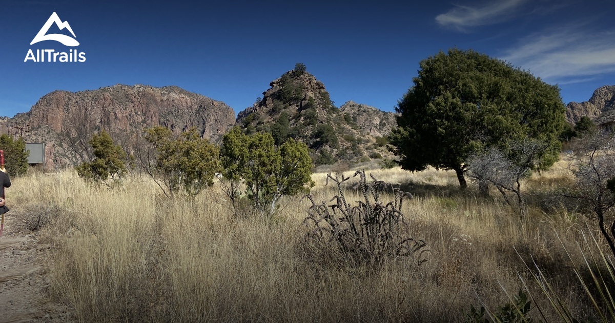 Townsend Point - hikes and trails to get you there | AllTrails