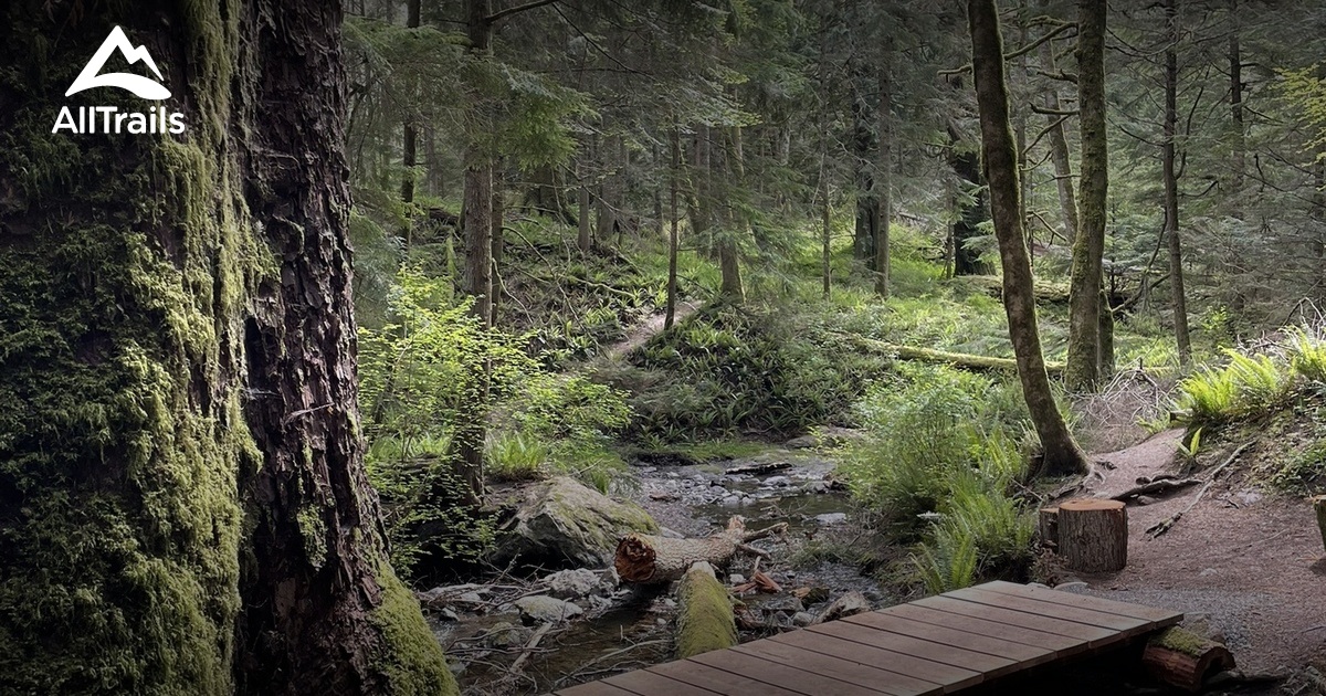 Cascade Falls - hikes and trails to get you there | AllTrails