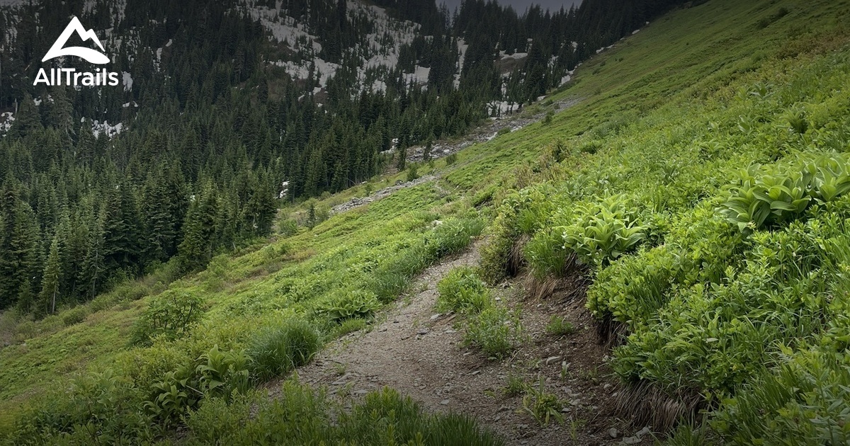 Cowap Peak - hikes and trails to get you there | AllTrails