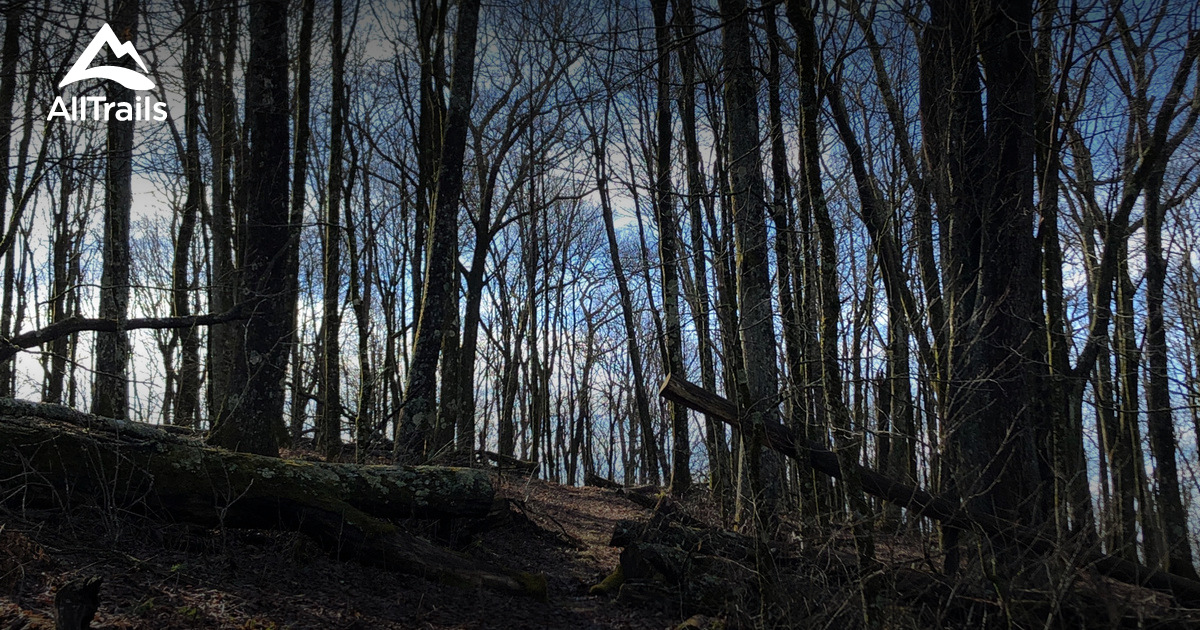 As melhores trilhas perto de Grindstone Knob | AllTrails
