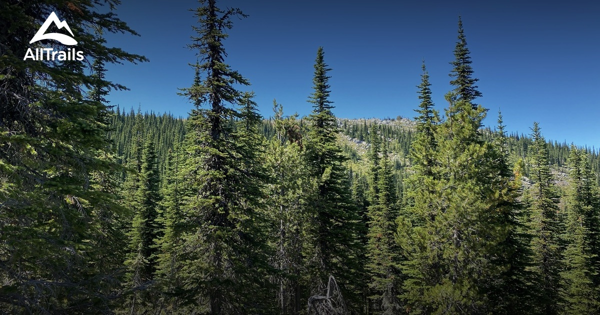 Buck Mountain - hikes and trails to get you there | AllTrails