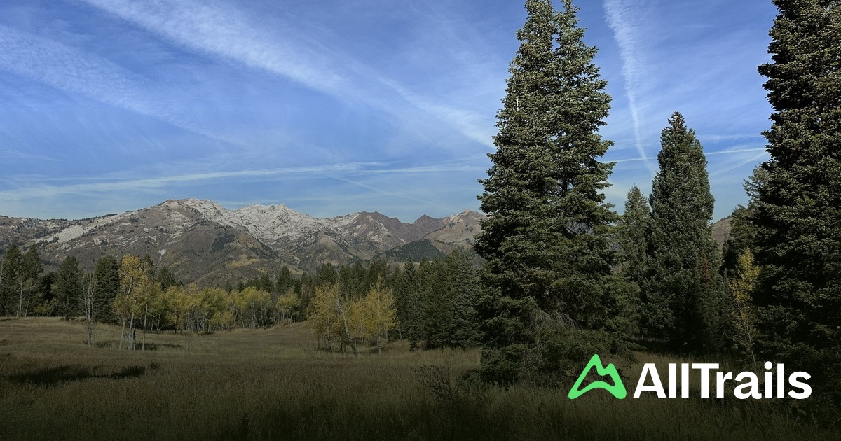Tibble Fork Reservoir - hikes and trails to get you there | AllTrails