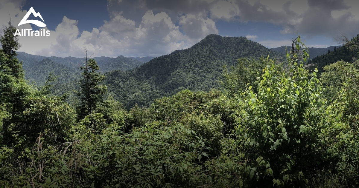 Trickling Falls - hikes and trails to get you there | AllTrails