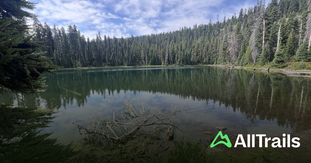 Bedste ruter i nærheden af Blue Lake | AllTrails
