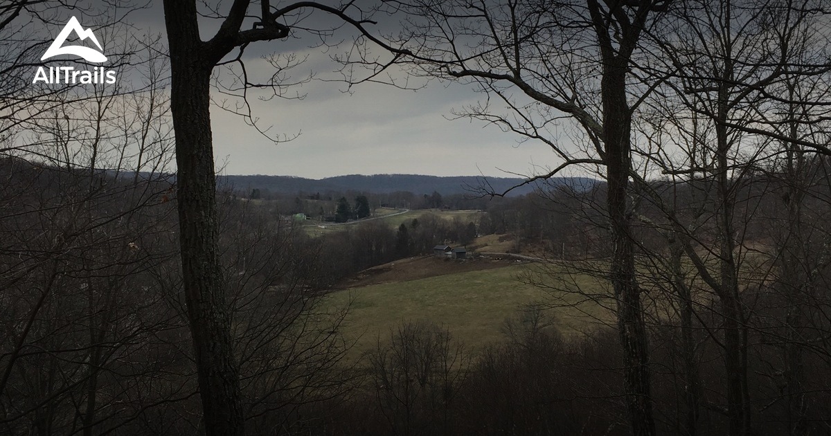 Hosner Mountain - hikes and trails to get you there | AllTrails