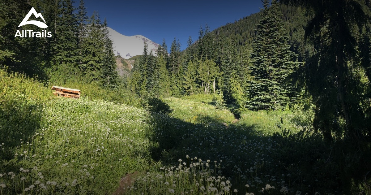 2023 Best Trails near Meany Crest | AllTrails