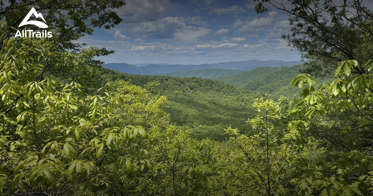 Apple Orchard Falls - hikes and trails to get you there | AllTrails