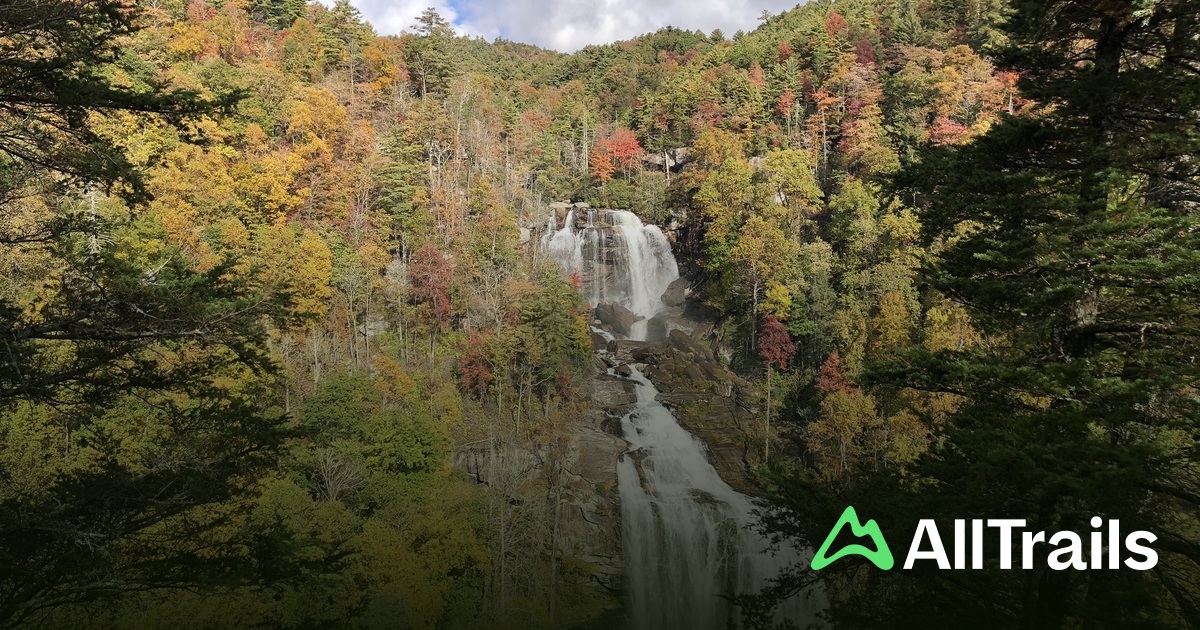 Whitewater Falls Overlook - hikes and trails to get you there | AllTrails