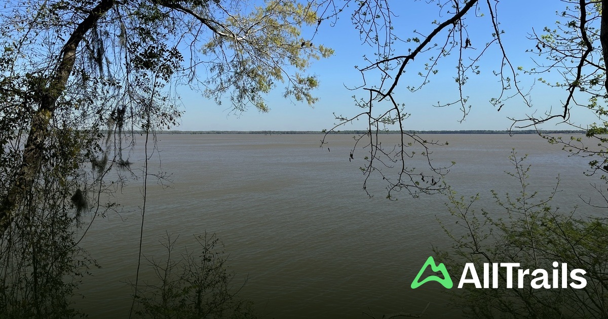Lake Marion - hikes and trails to get you there | AllTrails