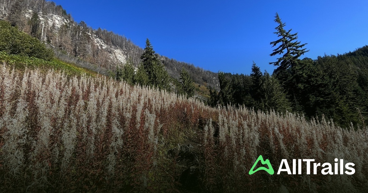 Boulder Lake - hikes and trails to get you there | AllTrails
