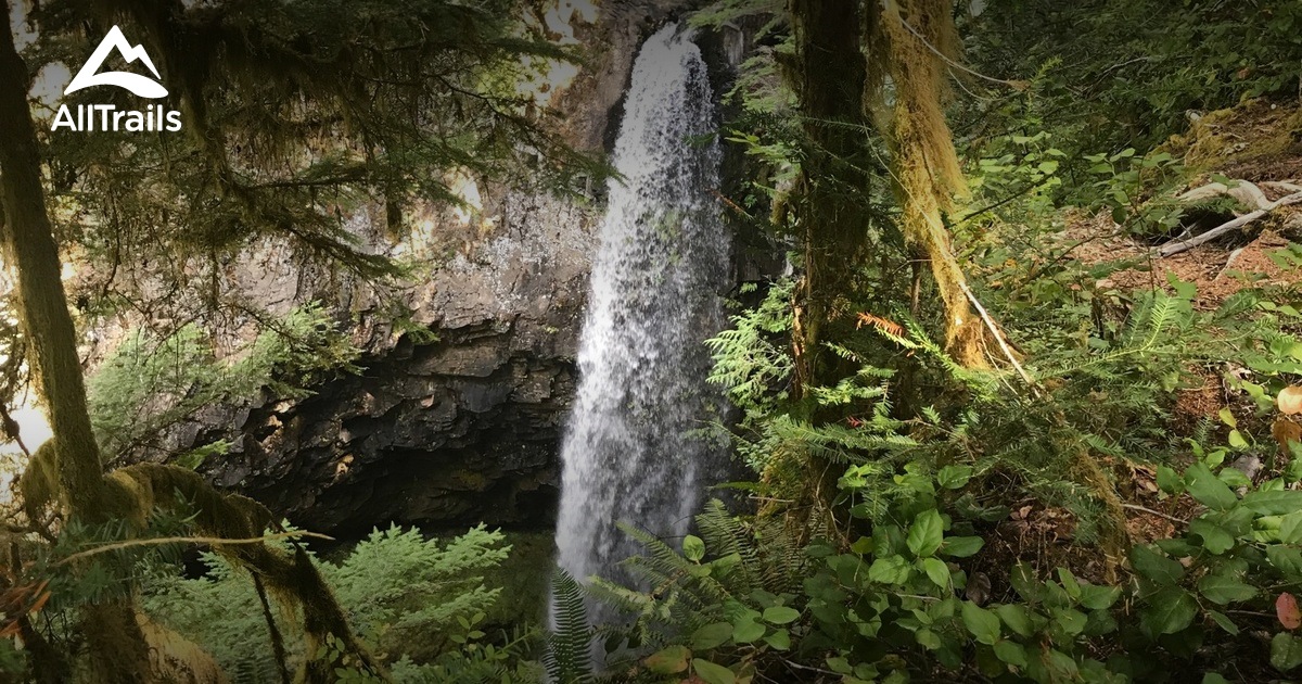 Cave Falls - hikes and trails to get you there | AllTrails