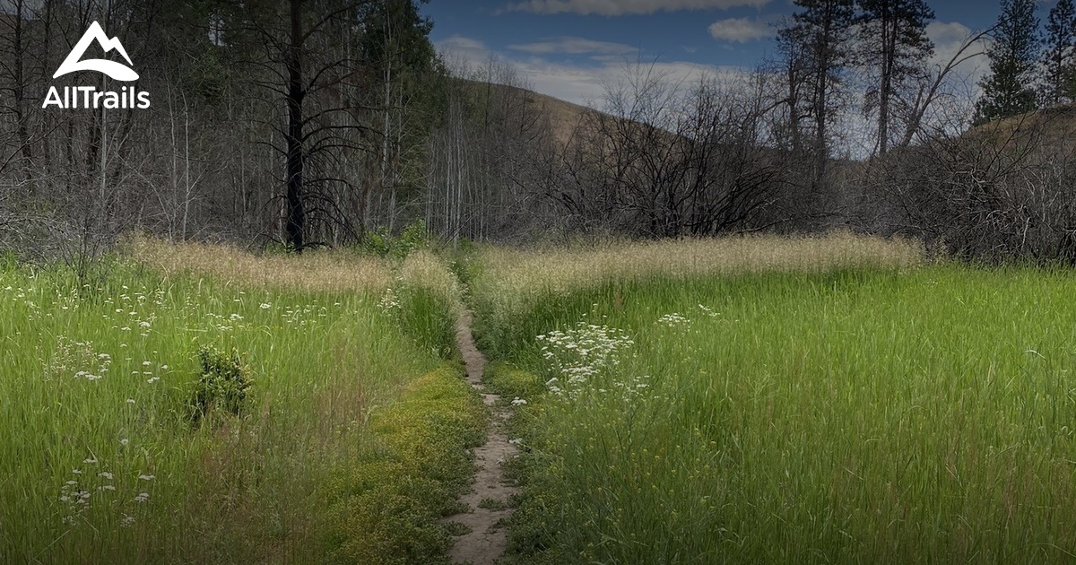 Umtanum Creek Falls - hikes and trails to get you there | AllTrails