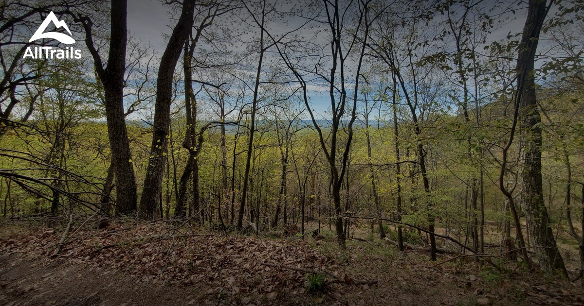 Pinkerton Knob - hikes and trails to get you there | AllTrails