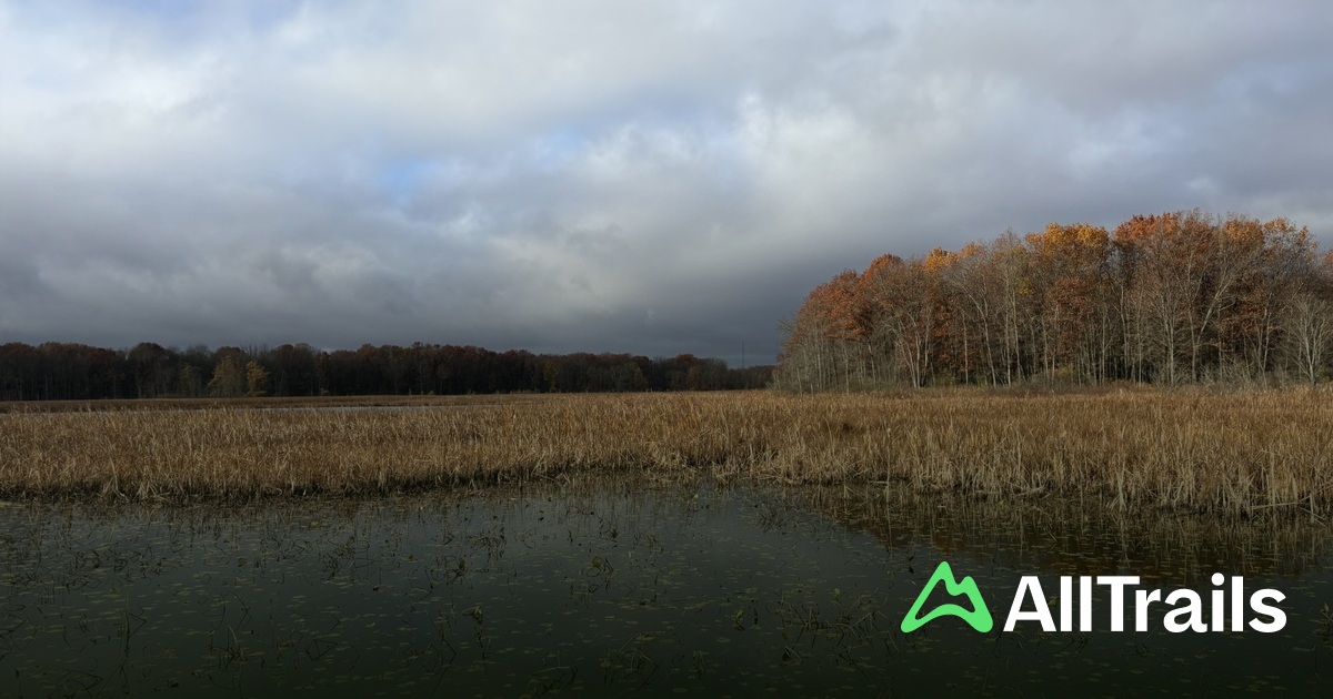 Big School Lot Lake - hikes and trails to get you there | AllTrails