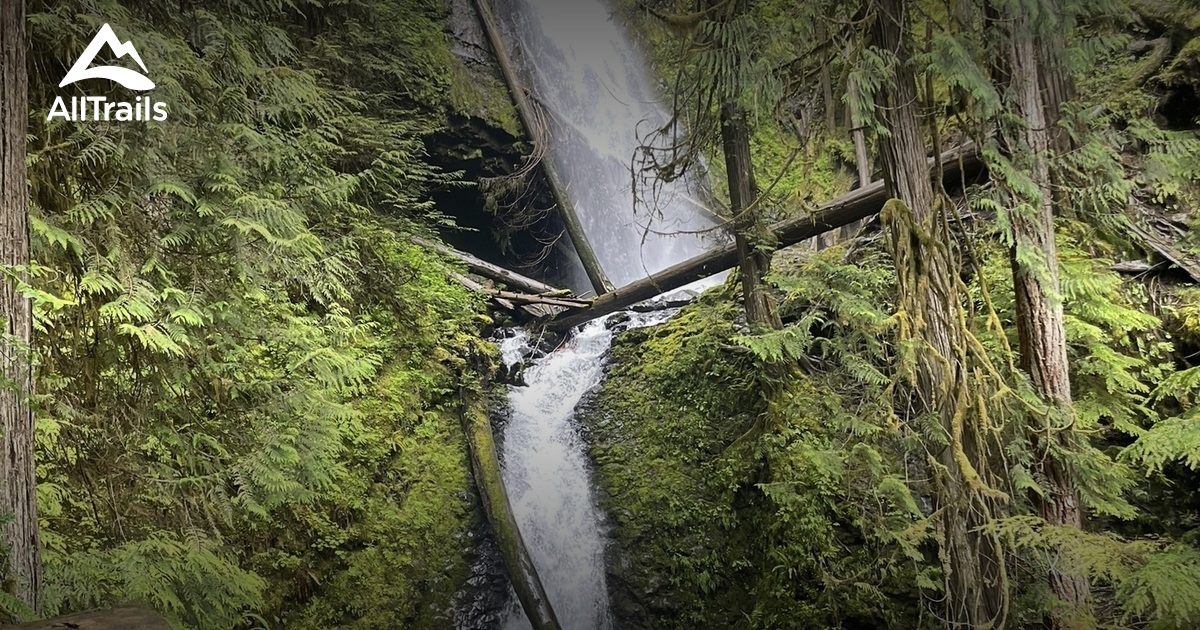 Murhut Falls - hikes and trails to get you there | AllTrails