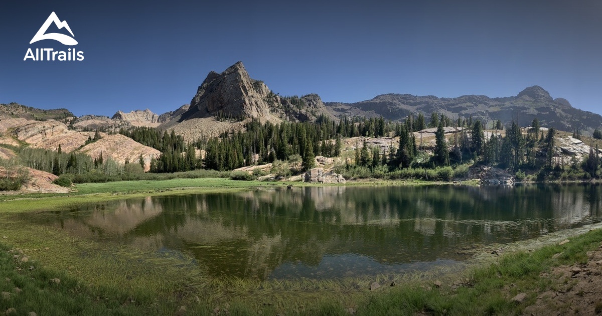 Hidden Falls - hikes and trails to get you there | AllTrails