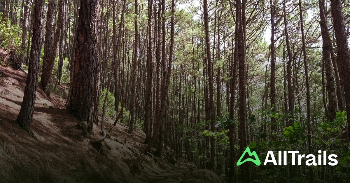 Historical Core - hikes and trails to get you there | AllTrails