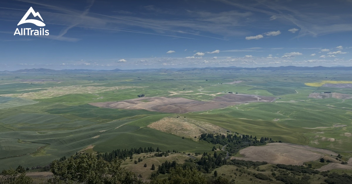Best trails near Steptoe Butte | AllTrails