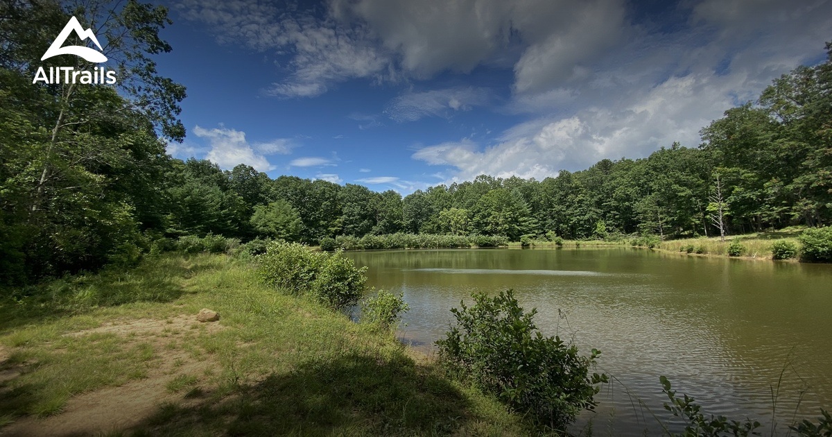 Sugar Run Mountain - hikes and trails to get you there | AllTrails