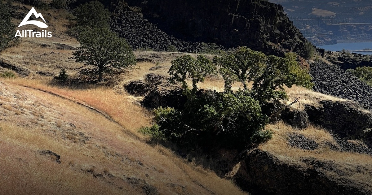 Labyrinth Falls - hikes and trails to get you there | AllTrails