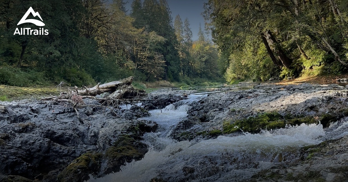 Rainbow Falls - hikes and trails to get you there | AllTrails