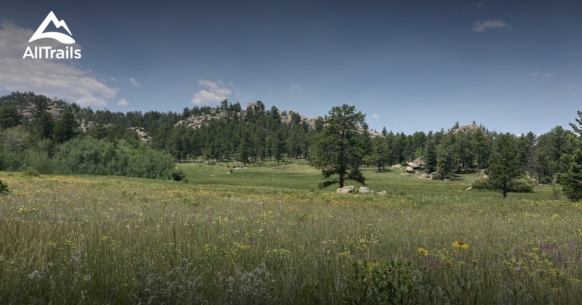Disappointment Falls - hikes and trails to get you there | AllTrails