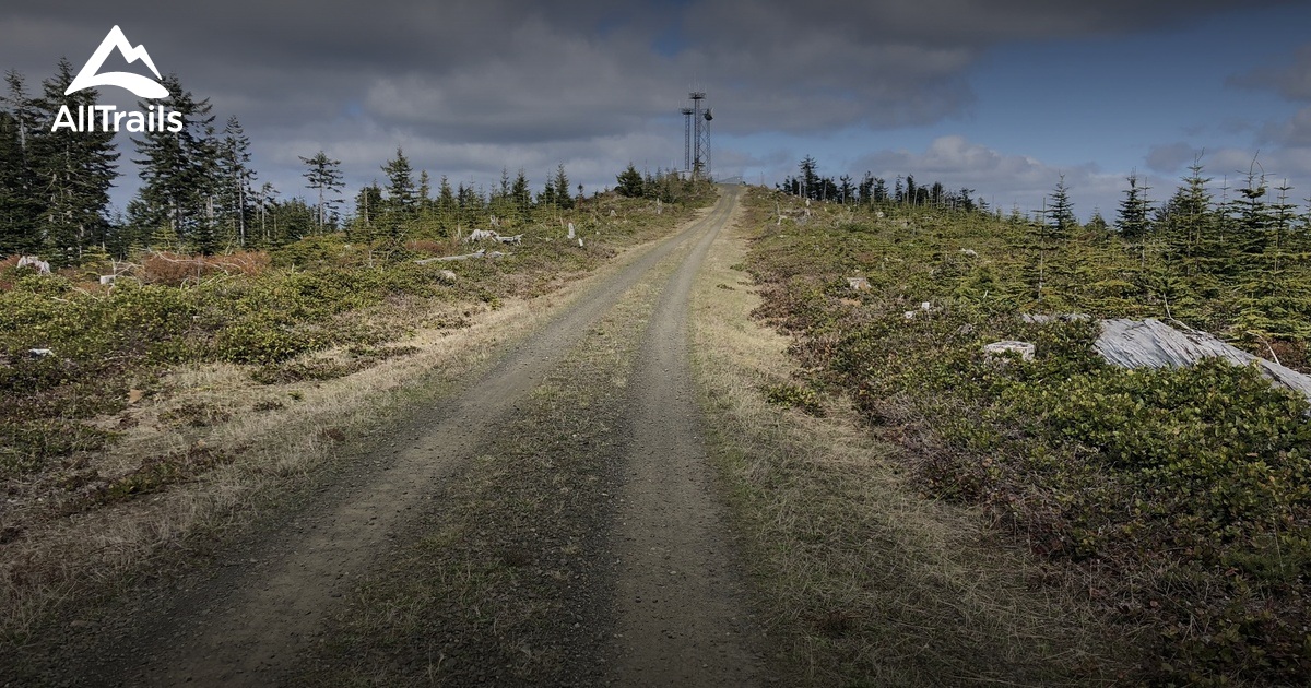 Larch Mountain - hikes and trails to get you there | AllTrails