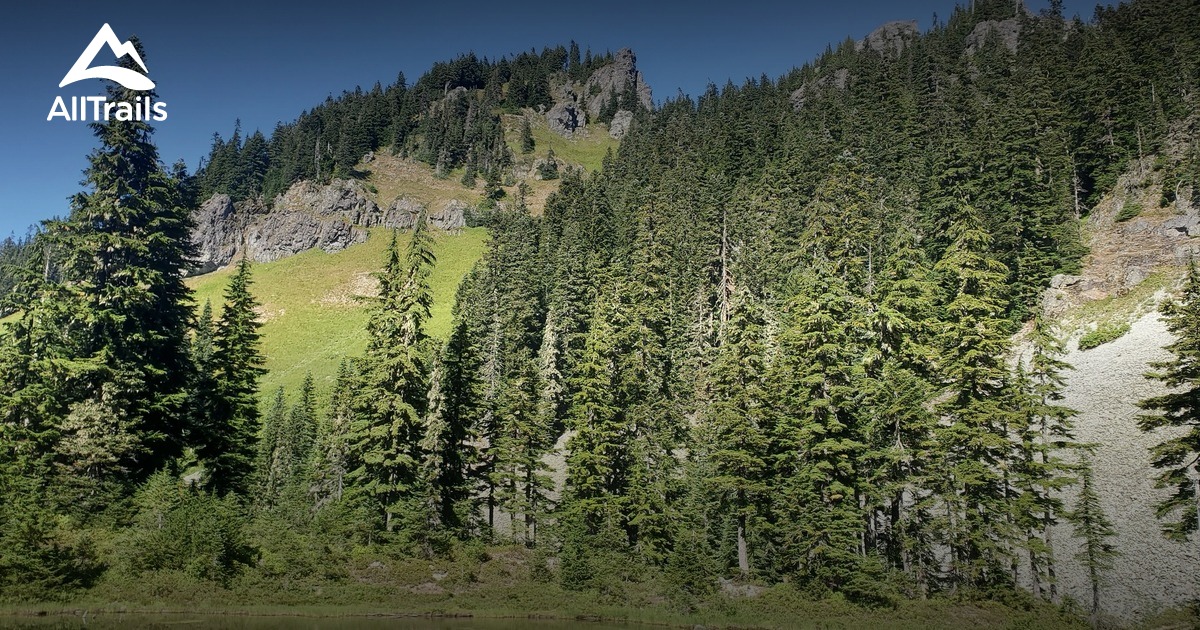 Rocky Run Falls - hikes and trails to get you there | AllTrails