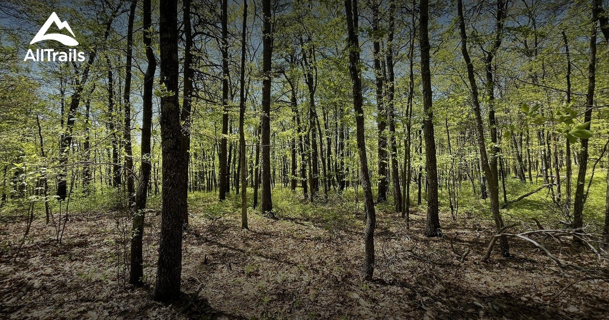 Brushy Mountain - hikes and trails to get you there | AllTrails